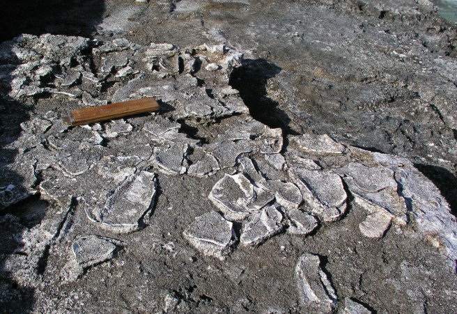 Photo Gallery – Bermuda Geology