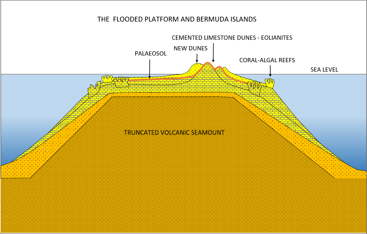1. The Origins of Bermuda – Bermuda Geology