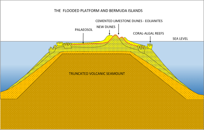 1. The Origins of Bermuda – Bermuda Geology