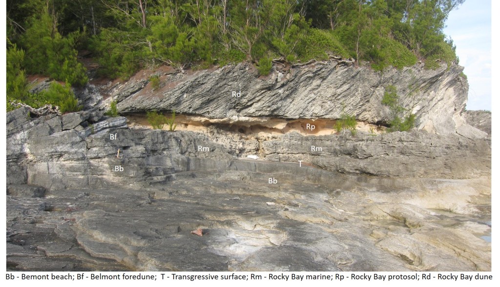 Devonshire Bay Field Guide – Bermuda Geology