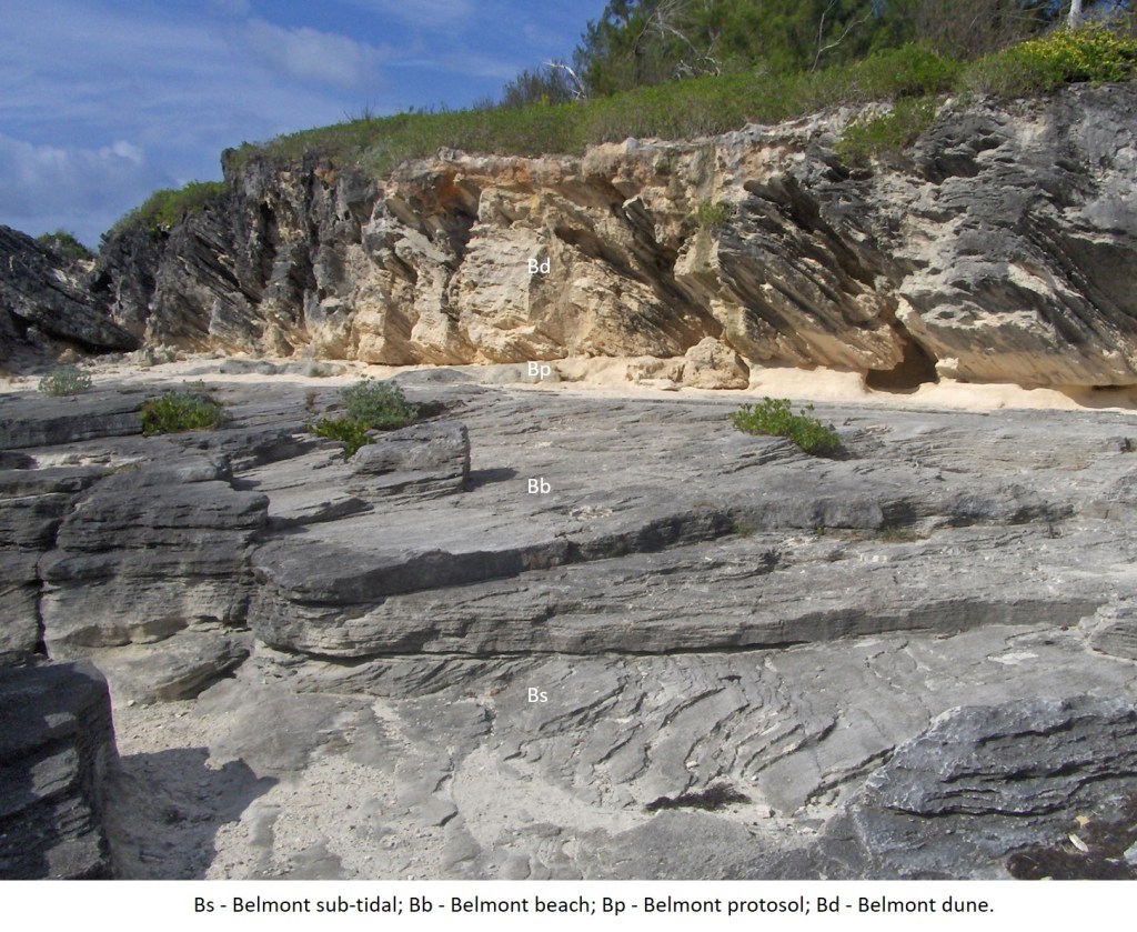 4. Marine Deposits – Bermuda Geology