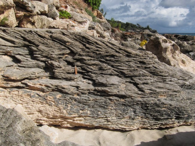 15. Palaeo-sea-levels at the Penultimate Interglacial Period (MIS7 ...